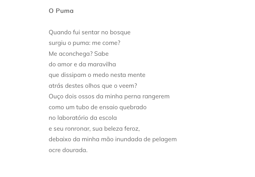 4 poems translated into Portuguese in Revista A BACANA (Portugal ...
