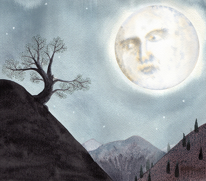 'The Tale of Atalanta the Lion' - Eleanor Percival Illustration