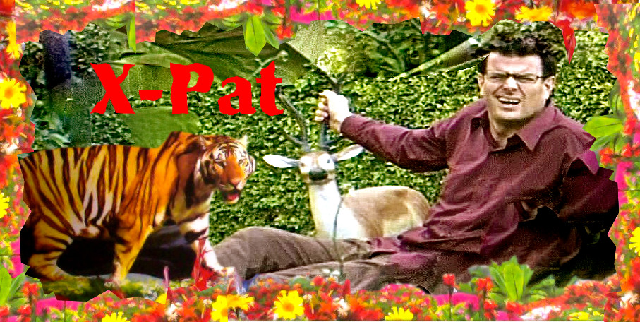 X-Pat - Michael Bluett