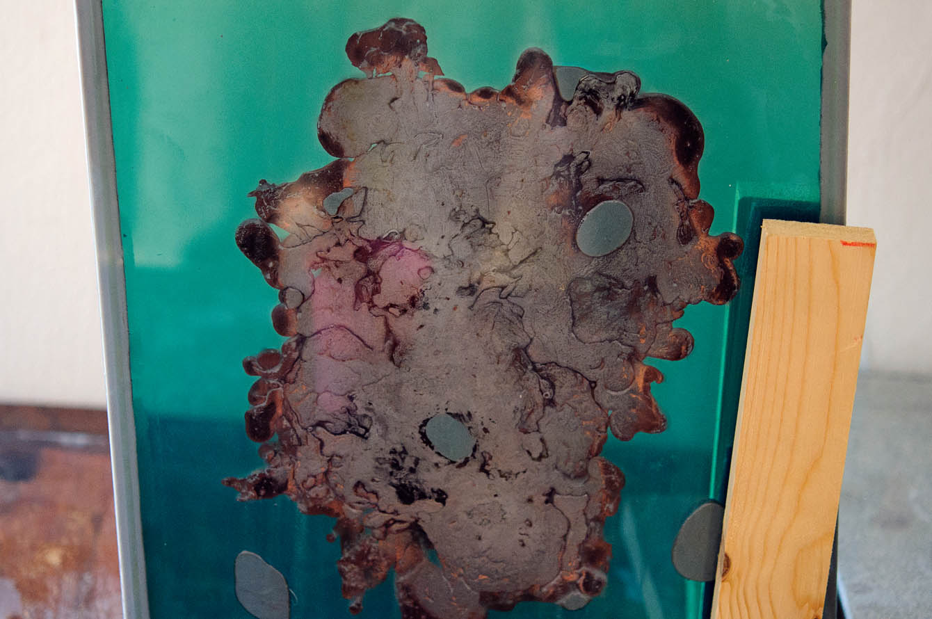 Kingdom: Inanimate - Uri Shapira