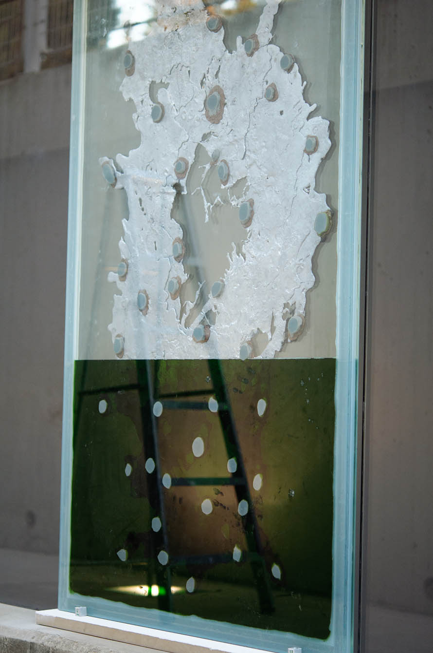 Kingdom: Inanimate - Uri Shapira