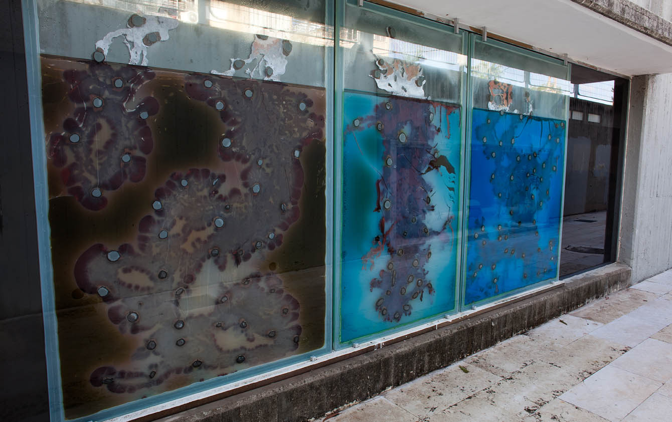 Kingdom: Inanimate - Uri Shapira