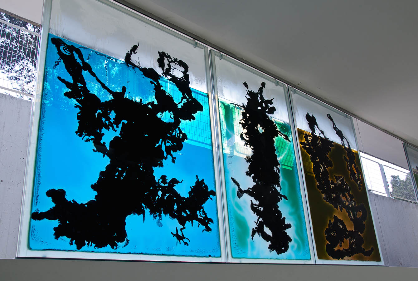 Kingdom: Inanimate - Uri Shapira