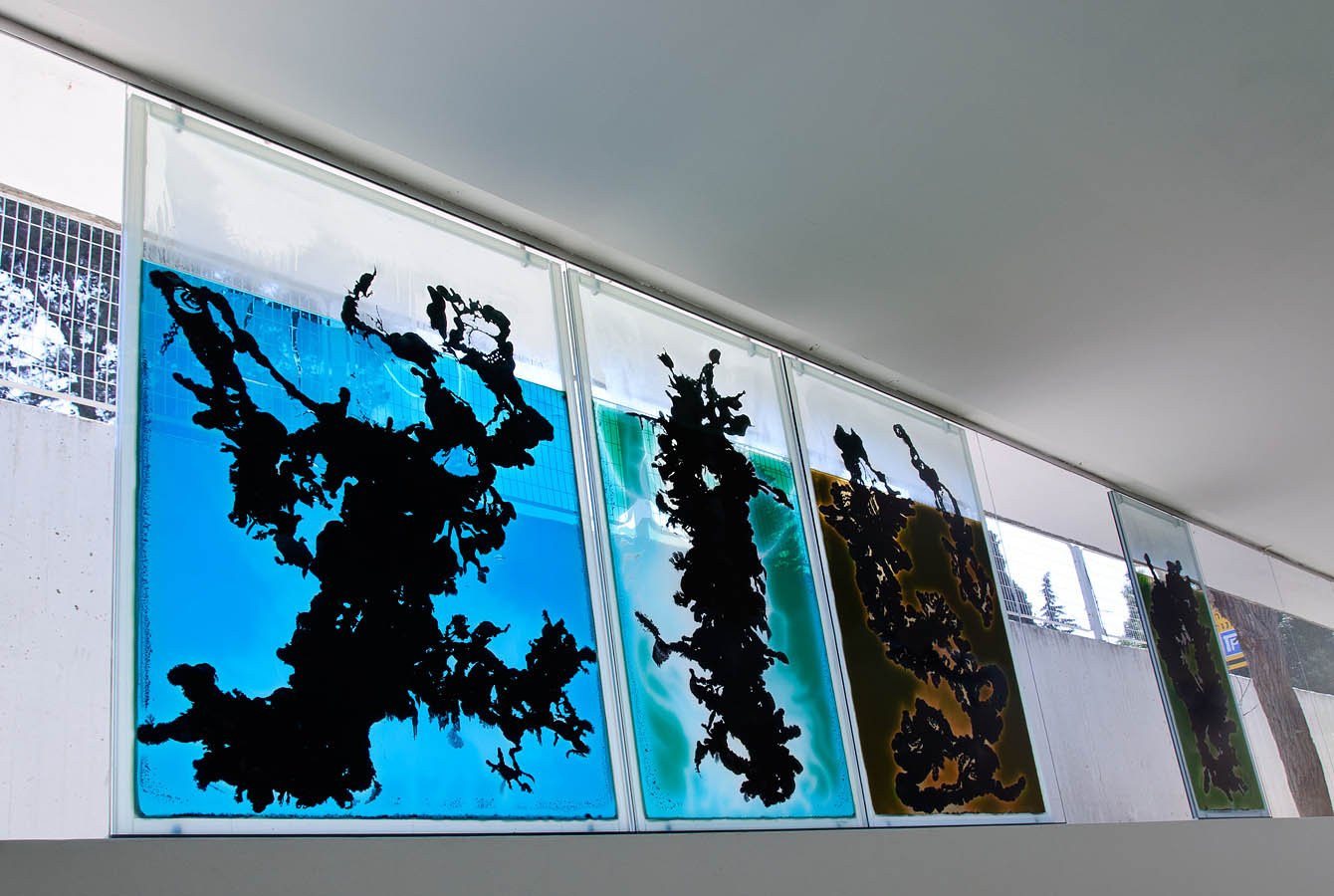 Kingdom: Inanimate - Uri Shapira