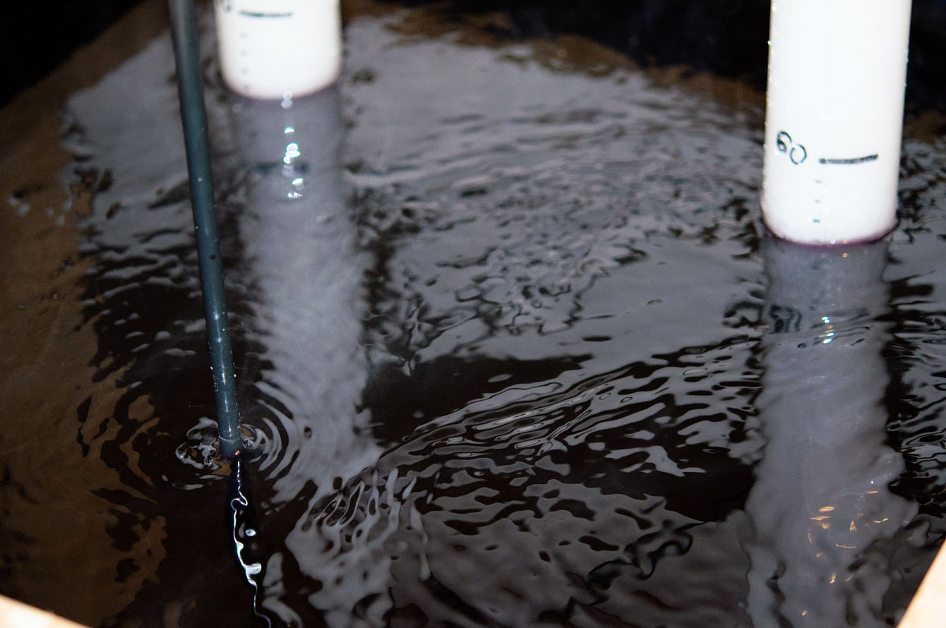 Crystal Dip - Uri Shapira