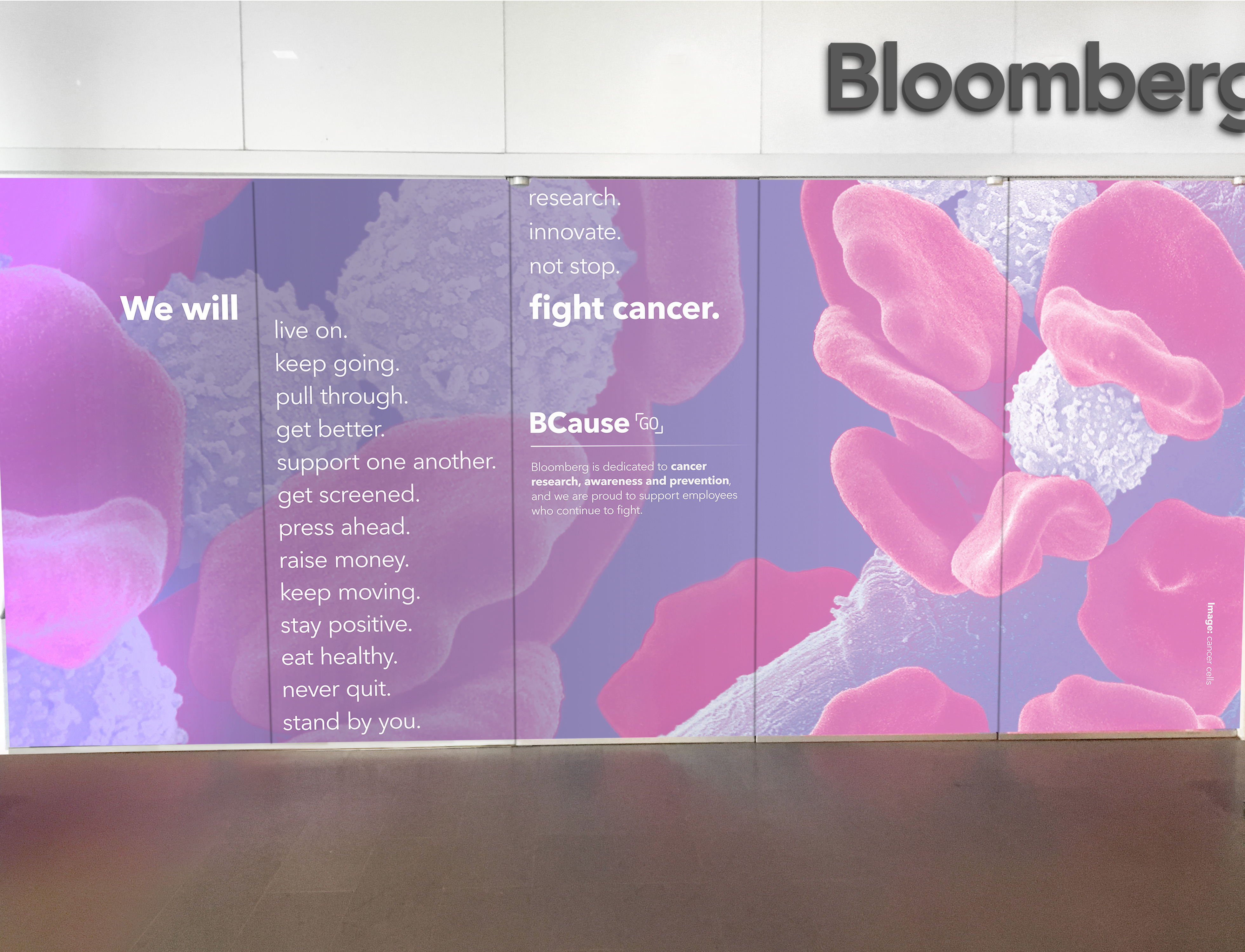 Bloomberg - Daniel J. Goldstein