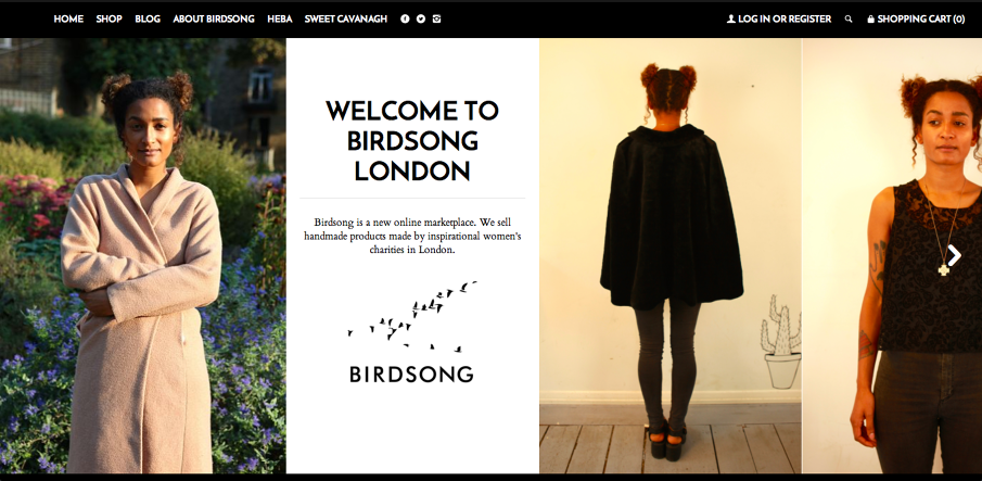 Birdsong - Sarah Beckett