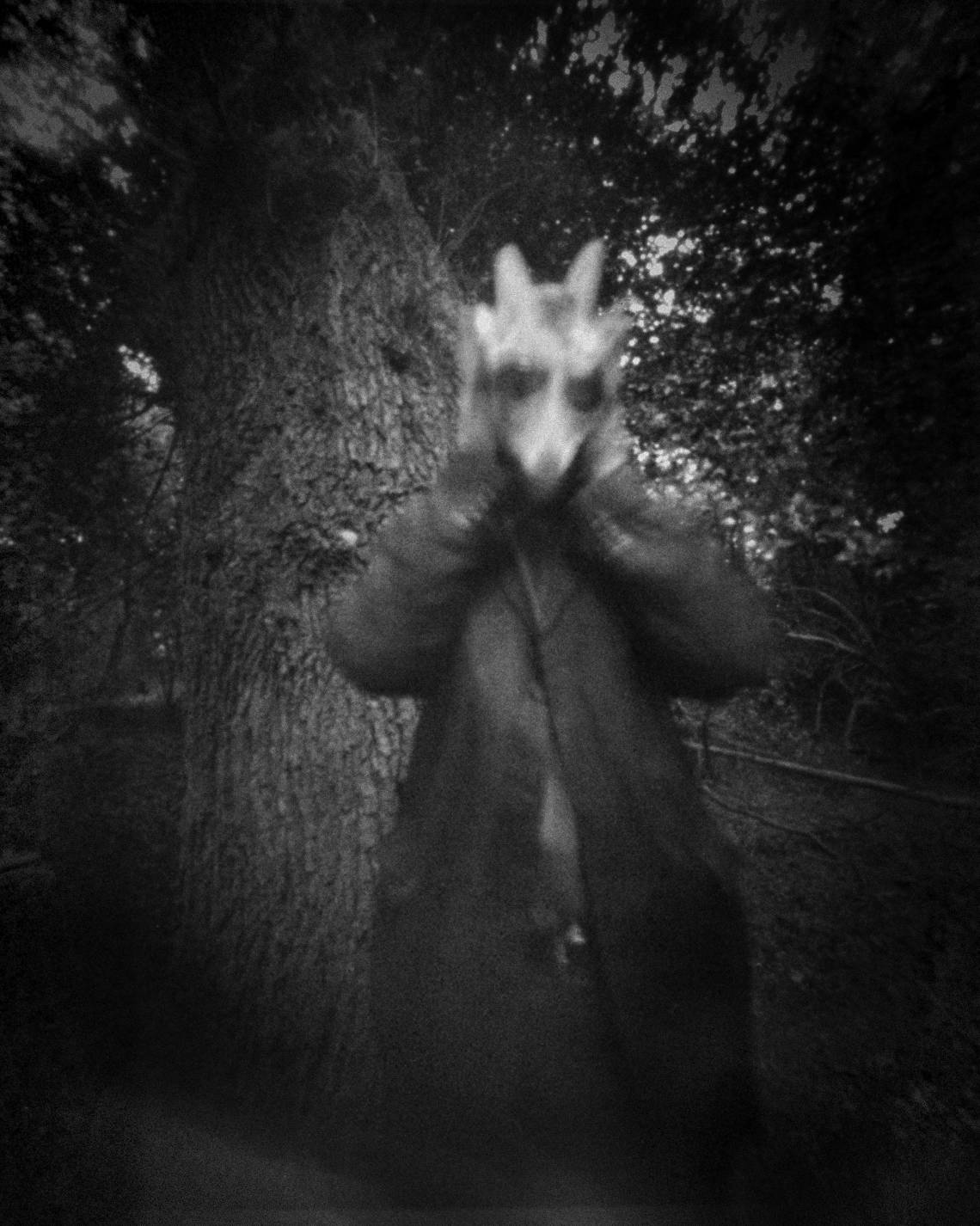 Pinhole Portraits - Anonymous Bosch