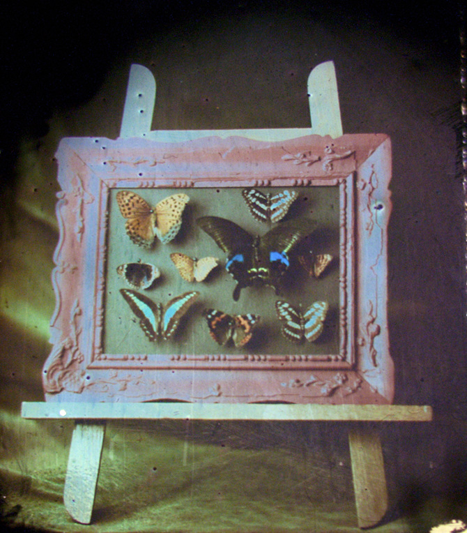 Still life 2016 - Filipe Alves - Lippmann photography