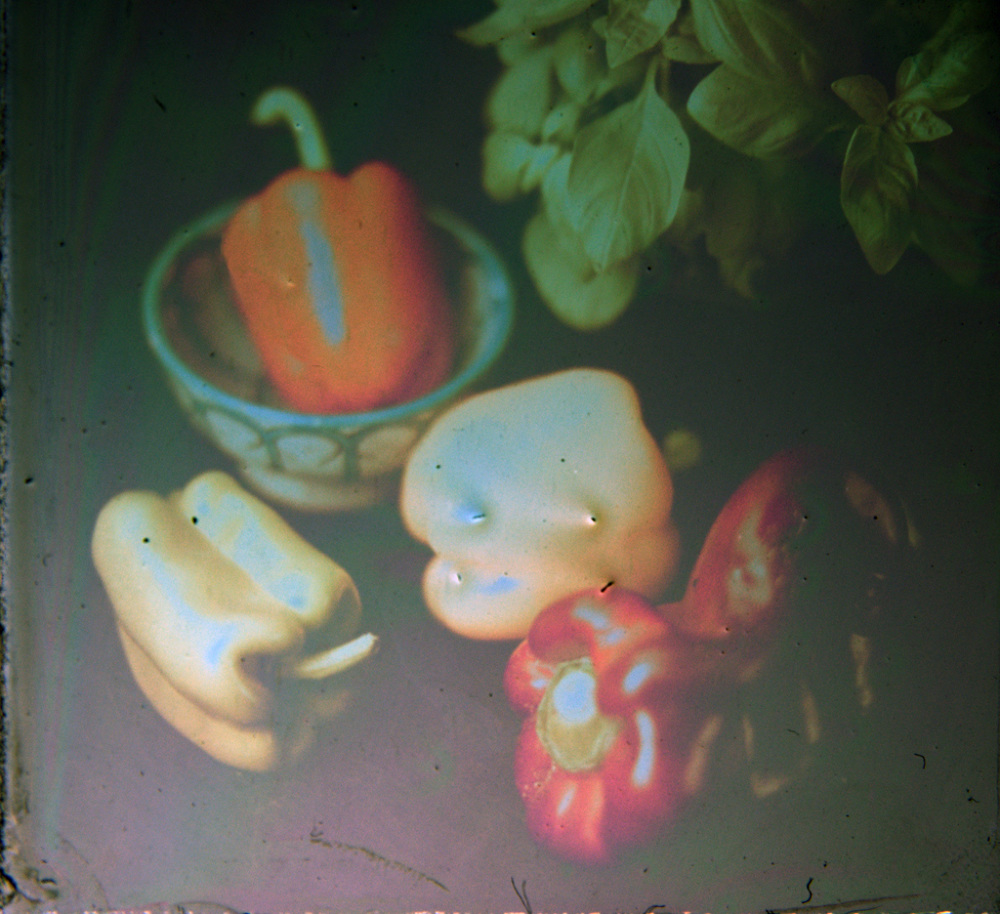 Still life 2016 - Filipe Alves - Lippmann photography