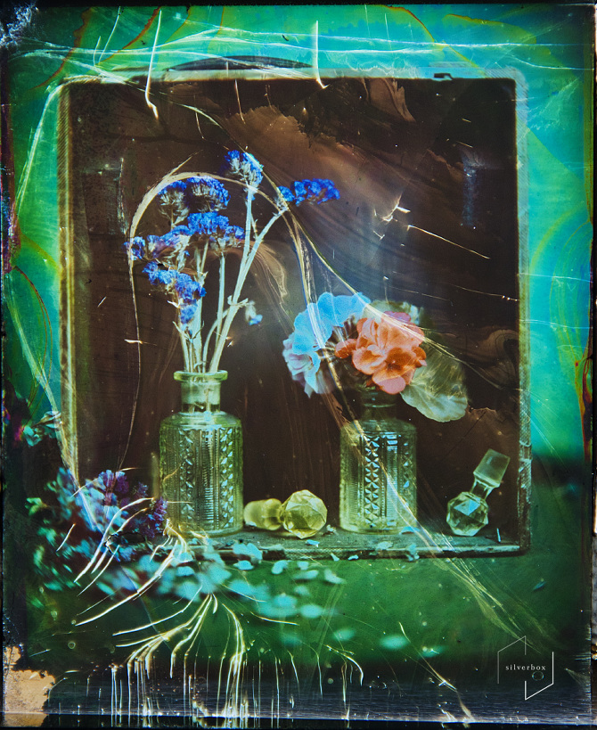 Still life 2016 - Filipe Alves - Lippmann photography