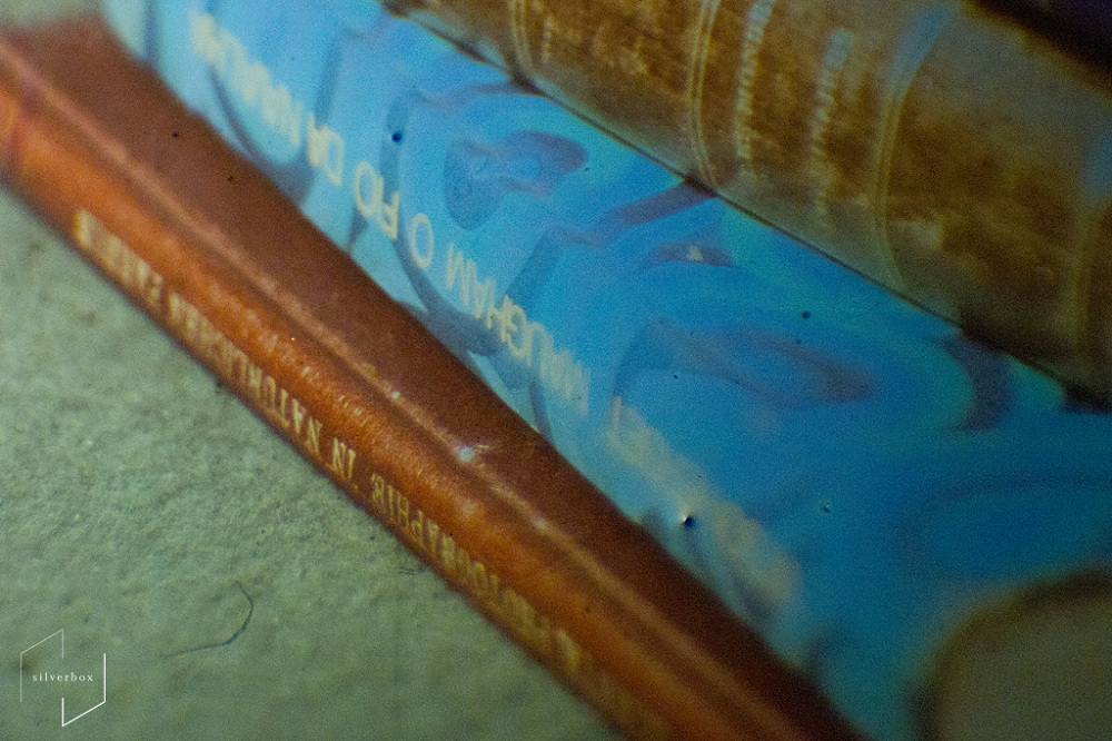 Plate for research - Filipe Alves - Lippmann photography