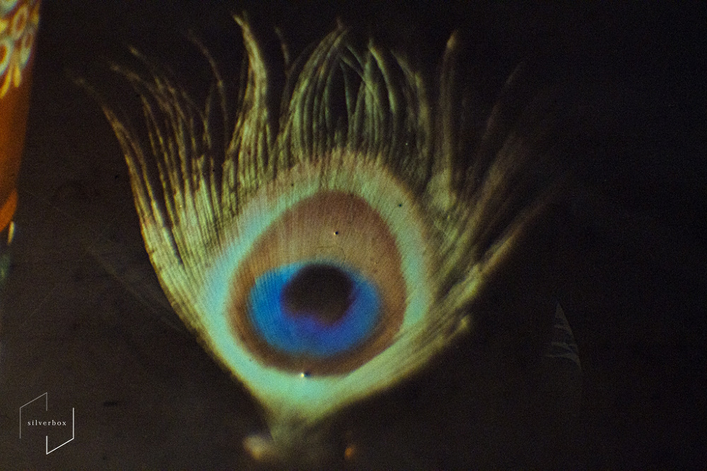 Plate for research - Filipe Alves - Lippmann photography