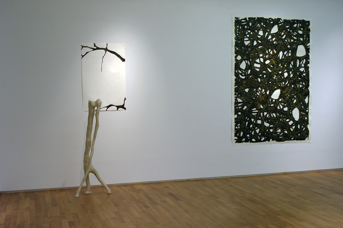 True Images - rui inacio