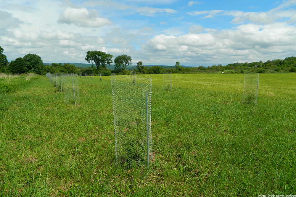 EXPANDING VIEW - Studio Ferrari Architecture