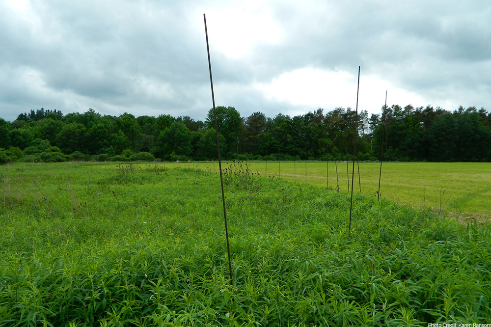 EXPANDING VIEW - Studio Ferrari Architecture