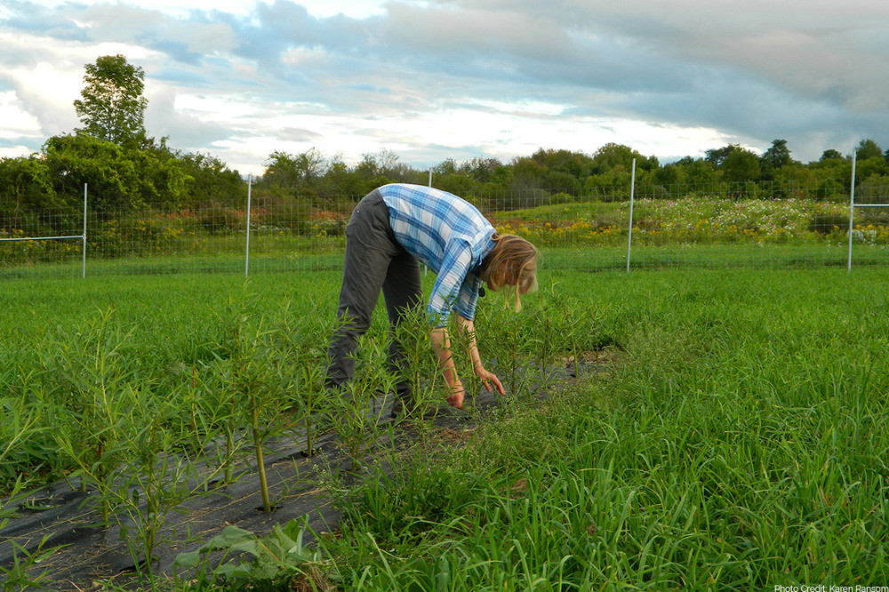 EXPANDING VIEW - Studio Ferrari Architecture