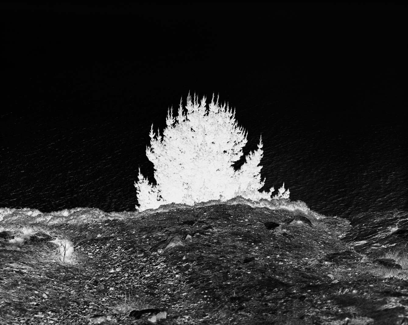 1000 MOONS - Adam Thorman