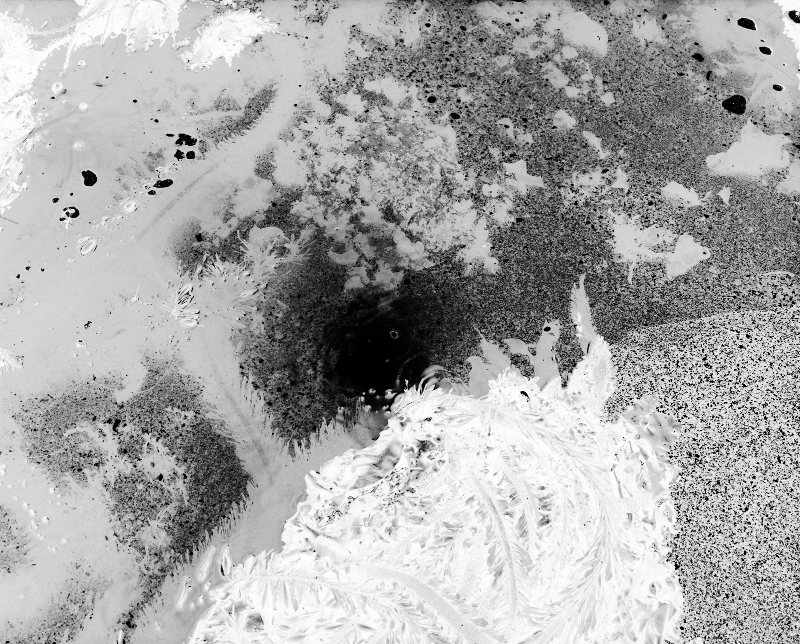 1000 MOONS - Adam Thorman