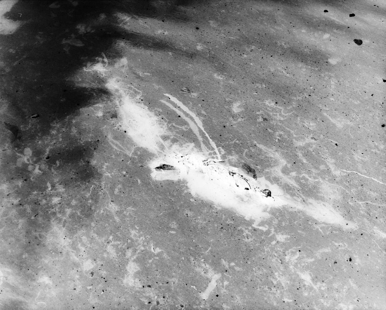 1000 MOONS - Adam Thorman