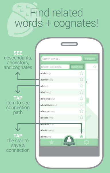 Etymology Explorer App Design - Christine Fleming - Graphic Designer