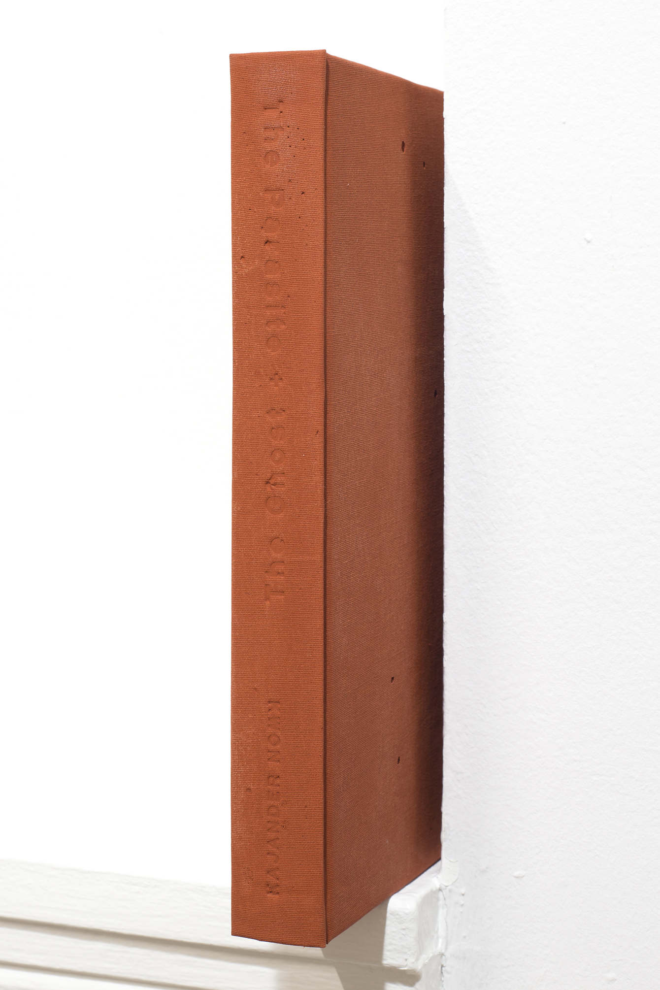 The Parasite + The Ghost - HaeAhn Woo Kwon