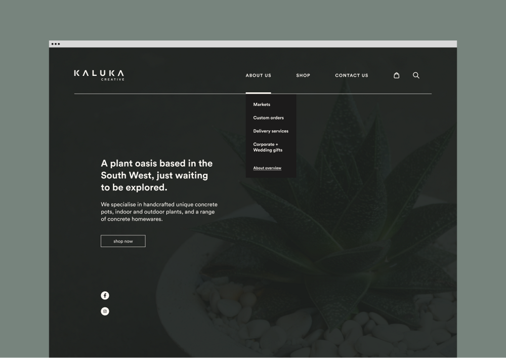 Identity design + UI design - Hailey Sims Designs