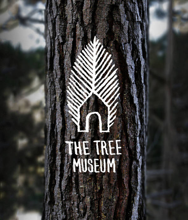 The Tree Museum - guy-field