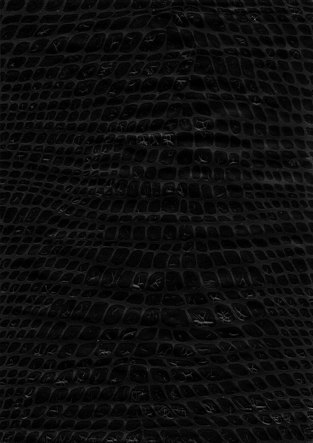 ・Monochrome Scale・ - Coralie Camarassa Ferreira