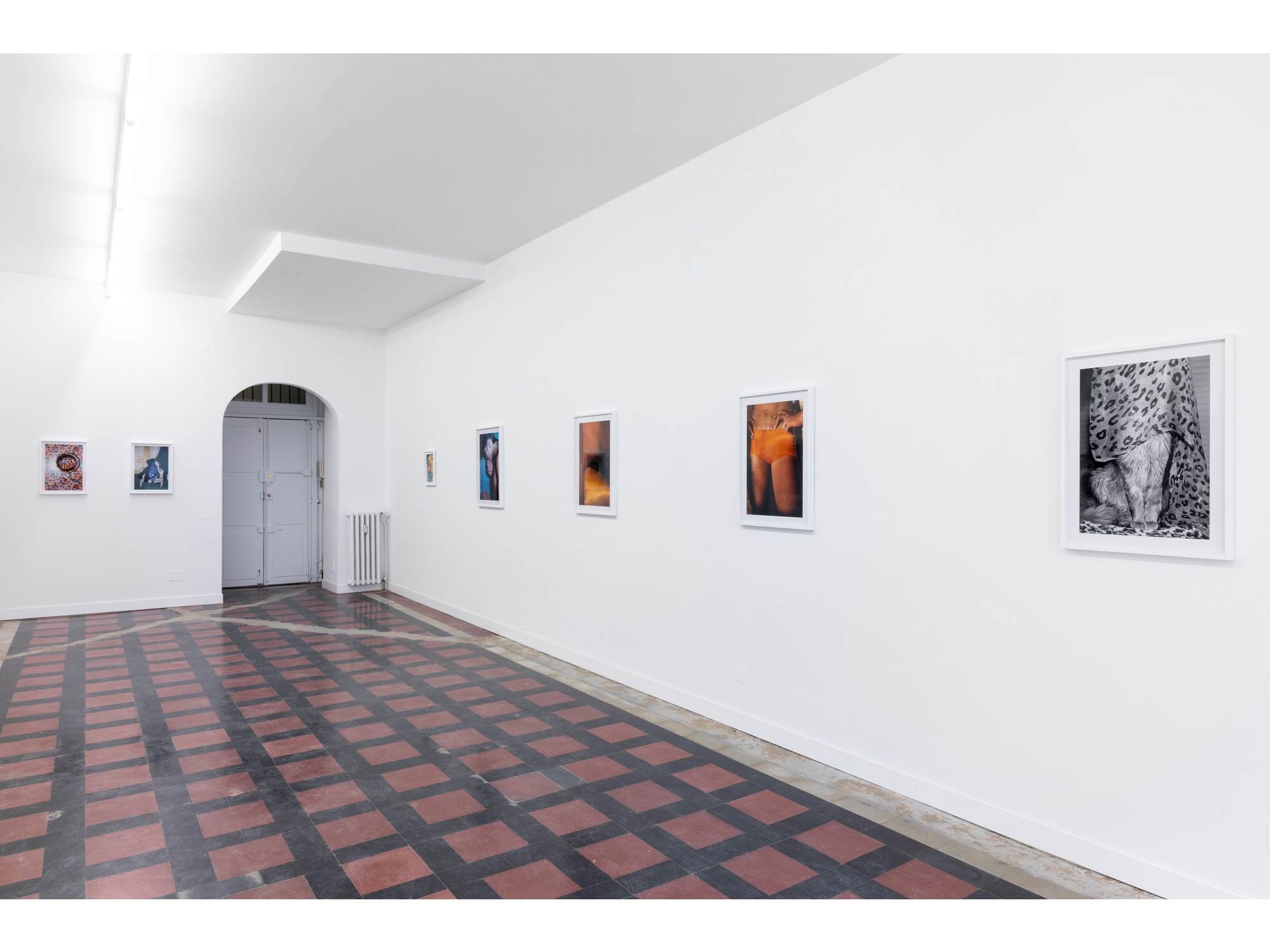 Walter Pfeiffer - Galerie Gregor Staiger