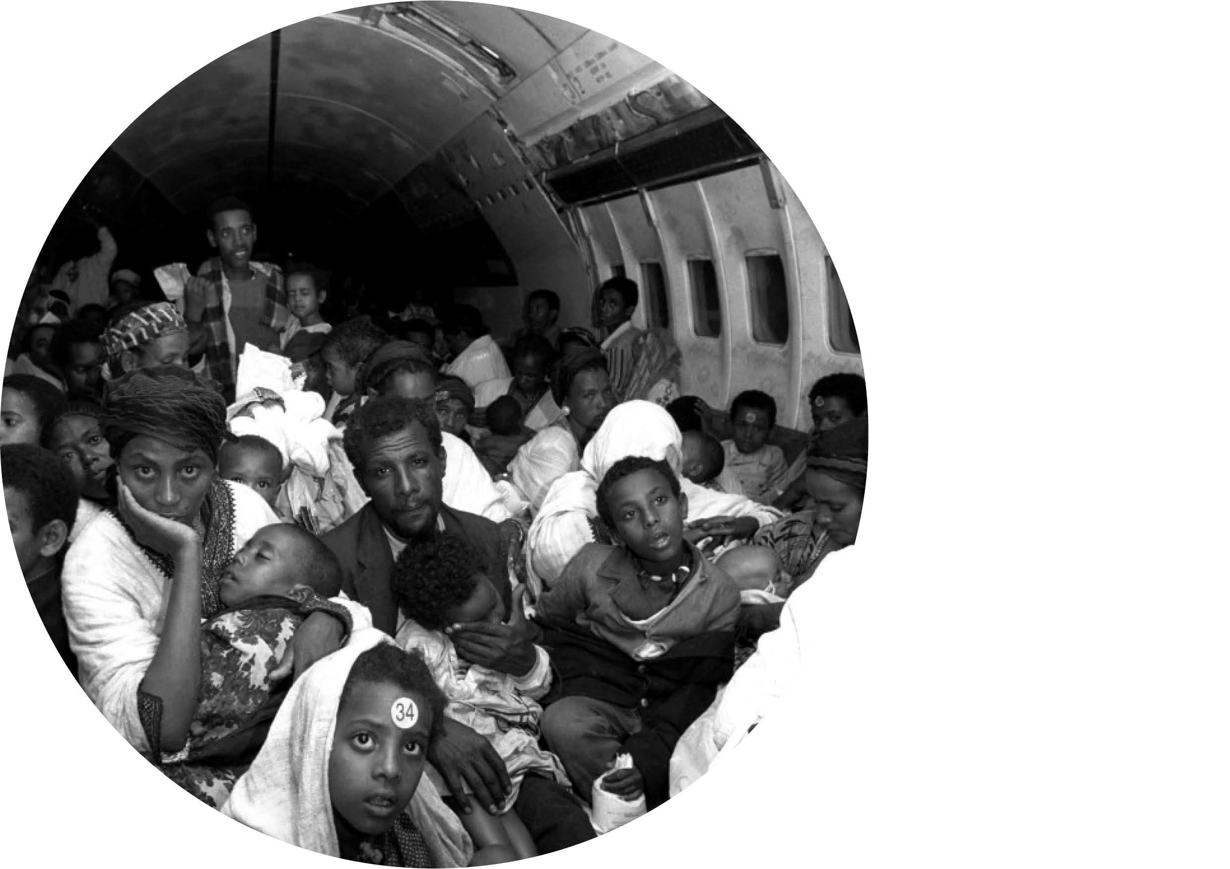 Displacement & Cultural Erosion - Anthony D'Auria