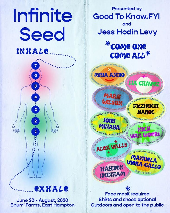 infinite seed - mvieragallo