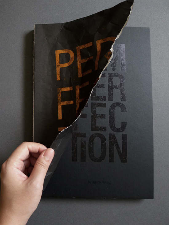 Perfection in Imperfection / Imperfection in Perfection - S H U