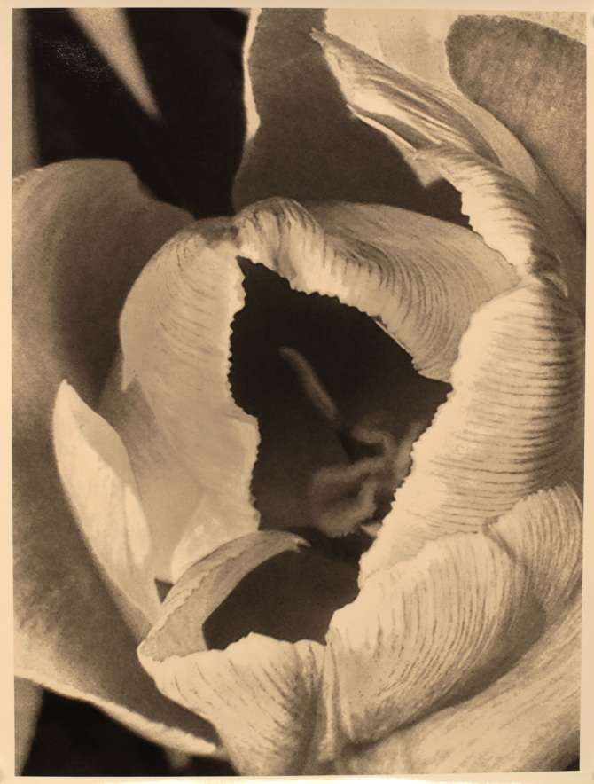 the RASA - rishadmistri.com