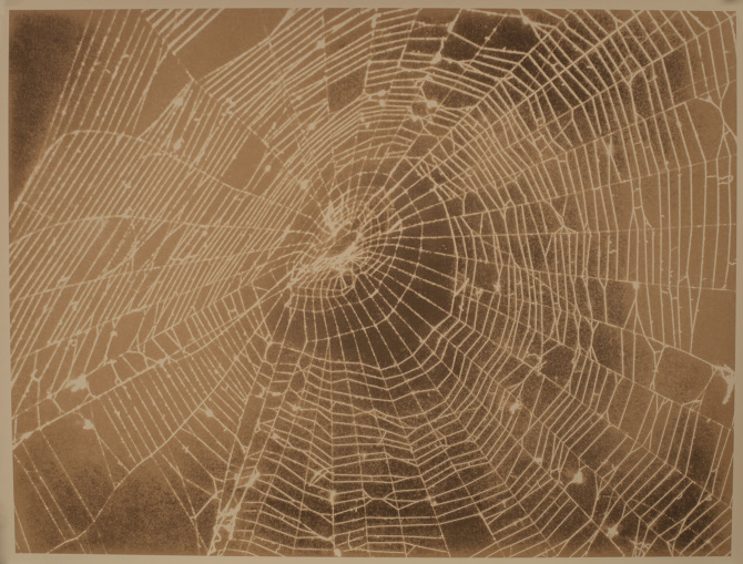 the RASA - rishadmistri.com