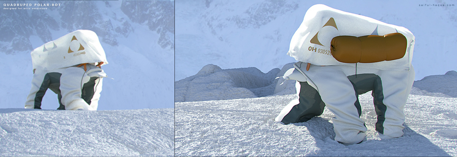 Icy Walk - Saiful Haque