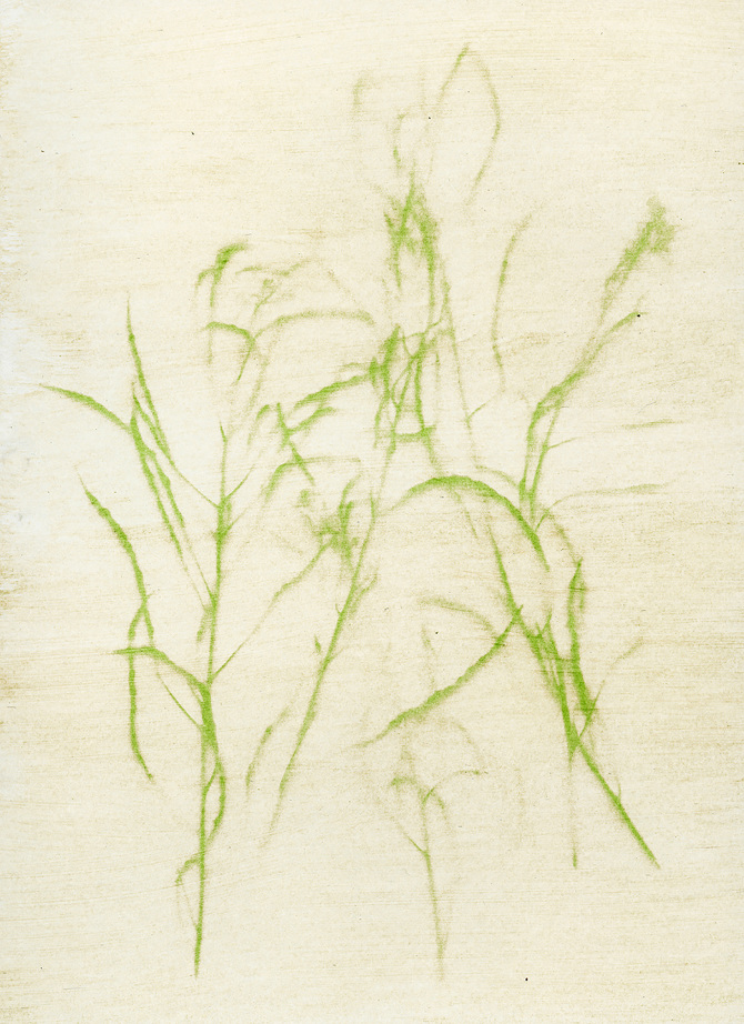 Permanent Becoming - Tim Boddy Photography