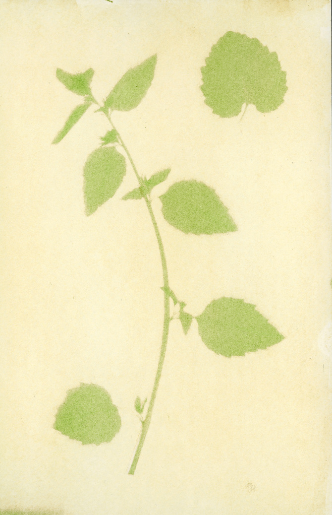 Permanent Becoming - Tim Boddy Photography