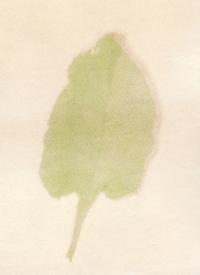 Permanent Becoming - Tim Boddy Photography