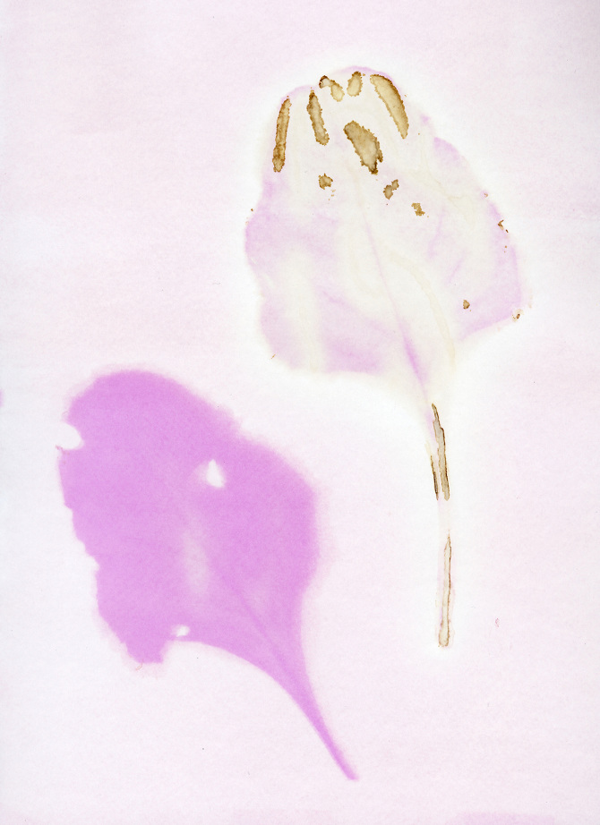 Permanent Becoming - Tim Boddy Photography