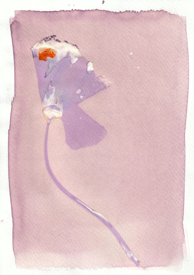 Covid-19 Plant Prints - Tim Boddy Photography