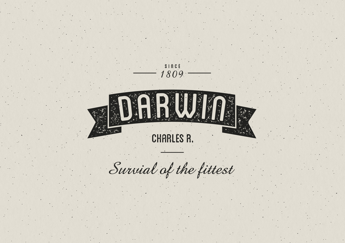 Darwin Concept Art - heatherbrennandesign