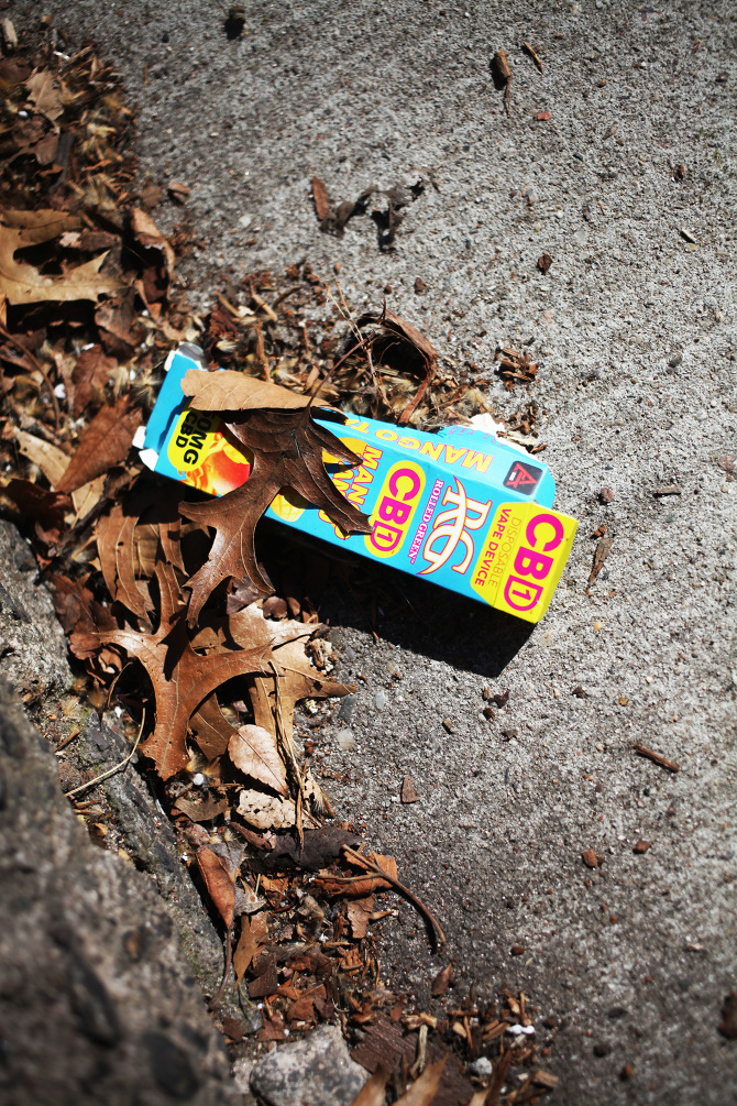 Trash Portraits]]] - Kenneth Bachor