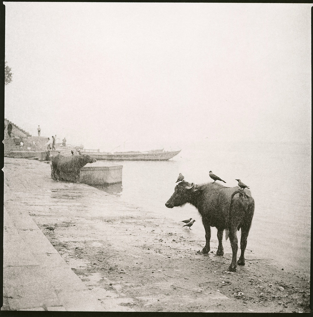 Views of Benares - Alex Korotkoff Photography