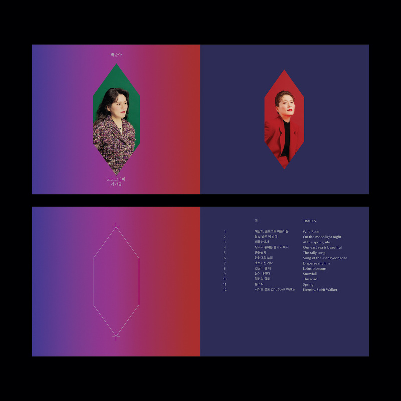 PARK SOONA : NORTH KOREA GAYAGEUM - bohuy kim