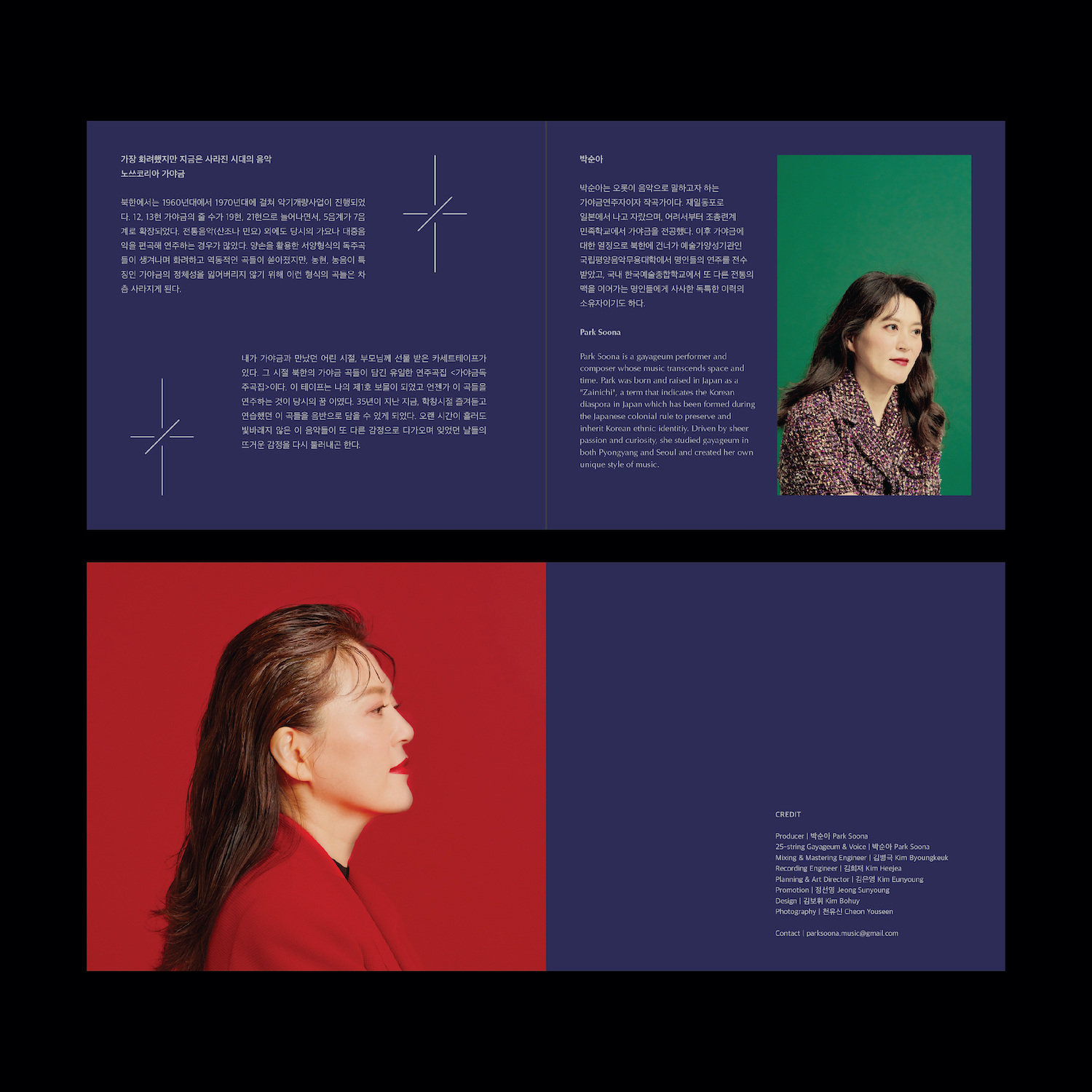 PARK SOONA : NORTH KOREA GAYAGEUM - bohuy kim