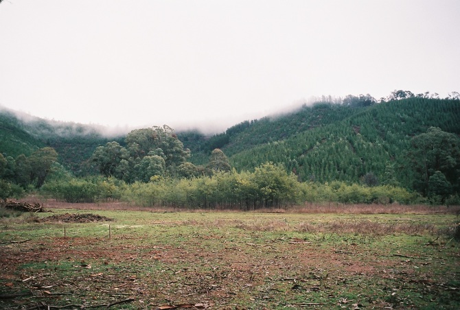 Film 2017 - Ben Carollo