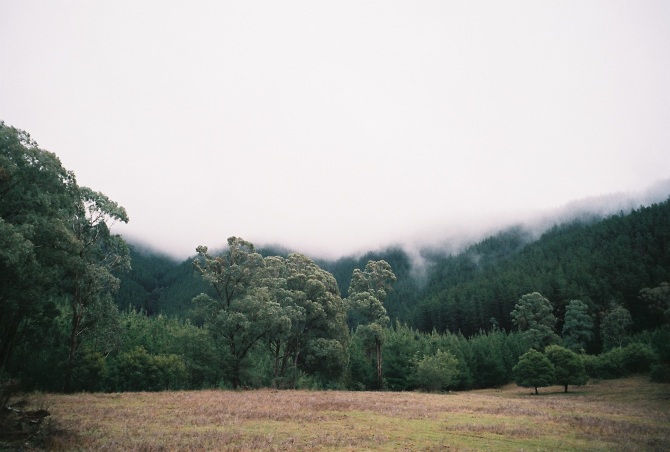 Film 2017 - Ben Carollo