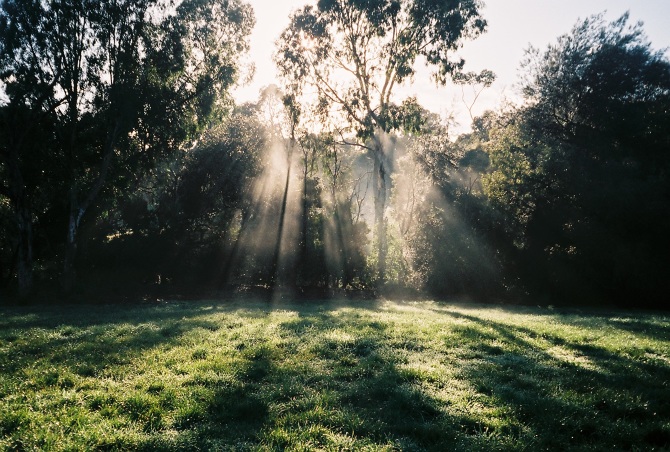 Film 2017 - Ben Carollo