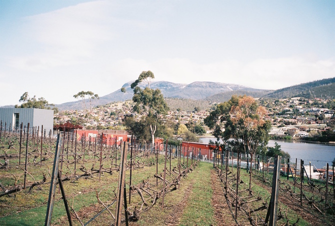 Film 2017 - Ben Carollo